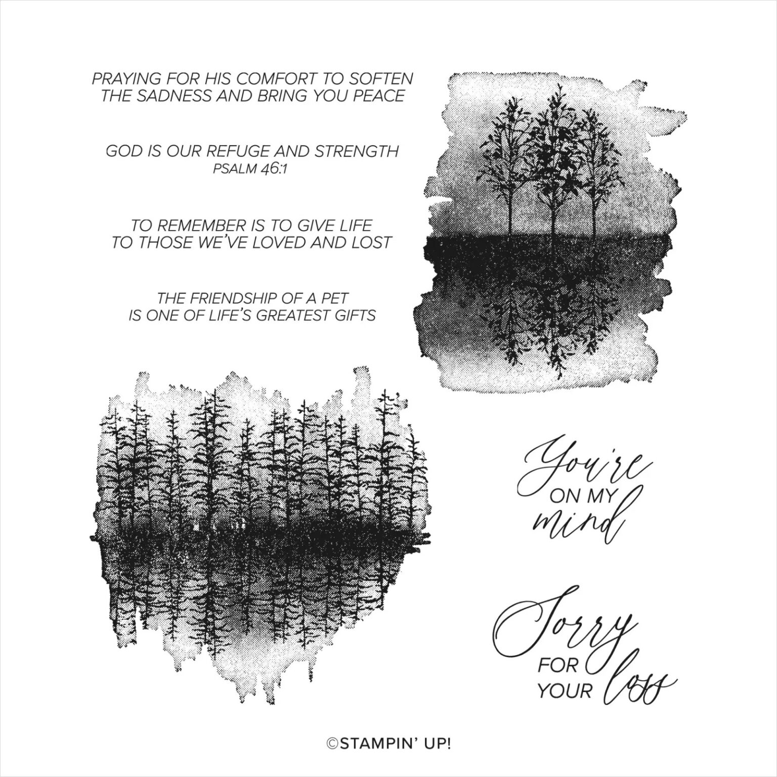 Quiet Reflection | Stamp, Scrap & Create with Me